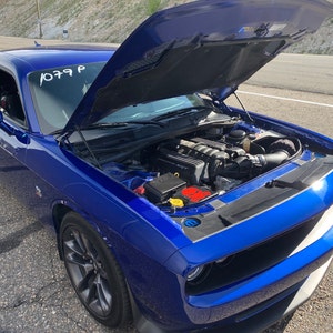 Pontiac GTO Hell Goat Decals - Etsy