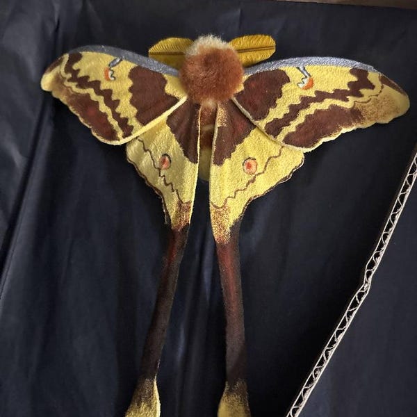 Luna Moth, True to Size, Needle Felted, Posable, Suede,moth Figurine ...