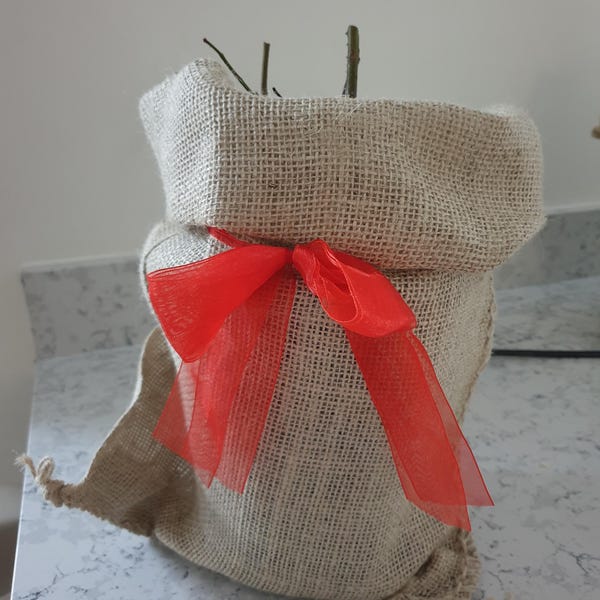 Rose 'fantastic at 60' Happy Birthday Rose Gift Wrapped With Huge Bow ...