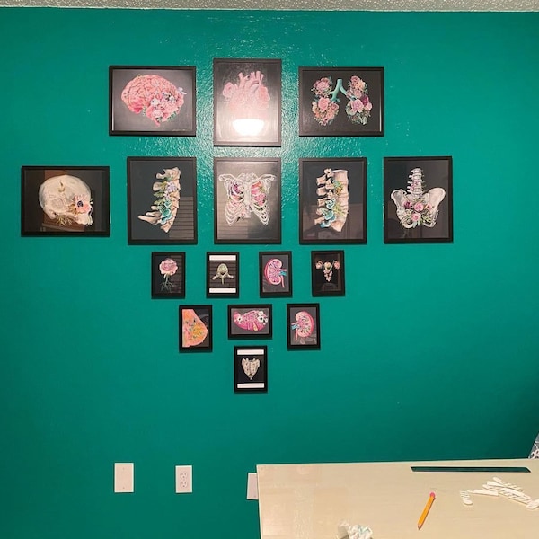 You Choose 5 Print Bundle - Anatomical Art Prints - Human Body ...