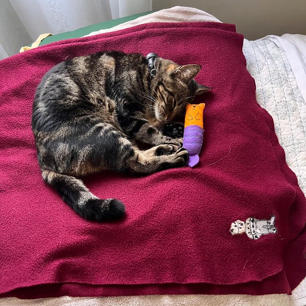 Purrmaid Toy With Catnip Catfish Toy for Kitty Cat Felt Toy for Cats ...