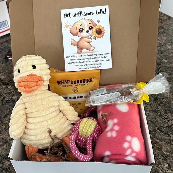 Bark & Brews Puppy Gift Box, Welcome Puppy, Welcome Home Puppy, Dog ...