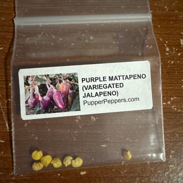 Purple Peach Carolina Reaper Rare Pepper Seeds Premium Packet - Etsy