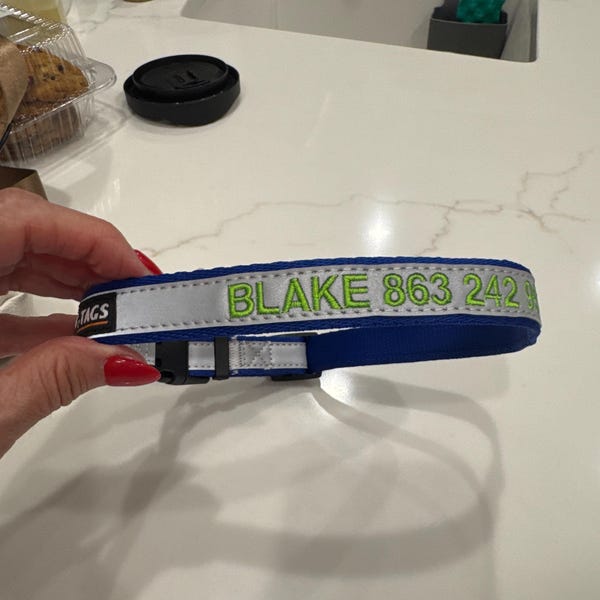 Gotags Shoe Tag ID for Runners & Cyclists - Etsy