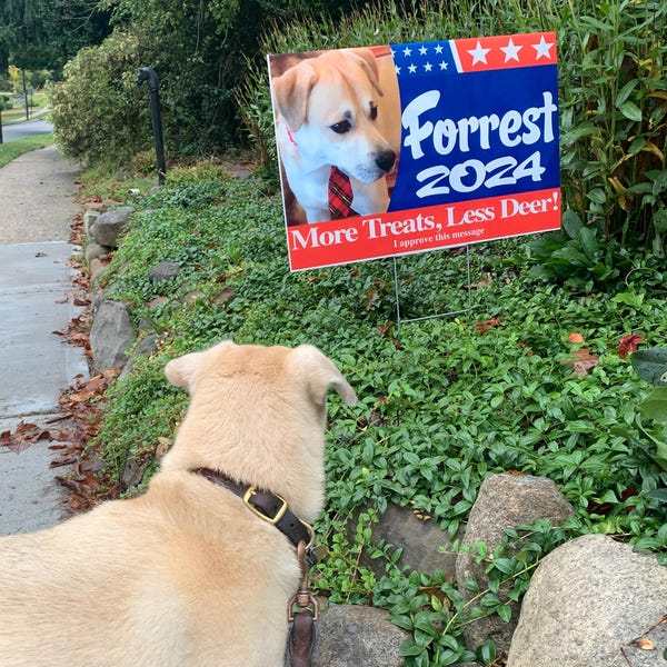Presidential Funny Humorous Yard Sign - Etsy