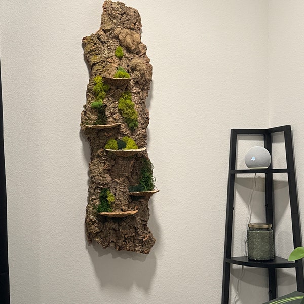 Floating Forest Art Gift, Moss on Cork Bark Natural Wall Decor ...