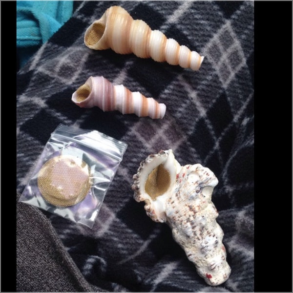 The Rockfish by Shellpipe free Pipes With Every Order Shell Pipe ...