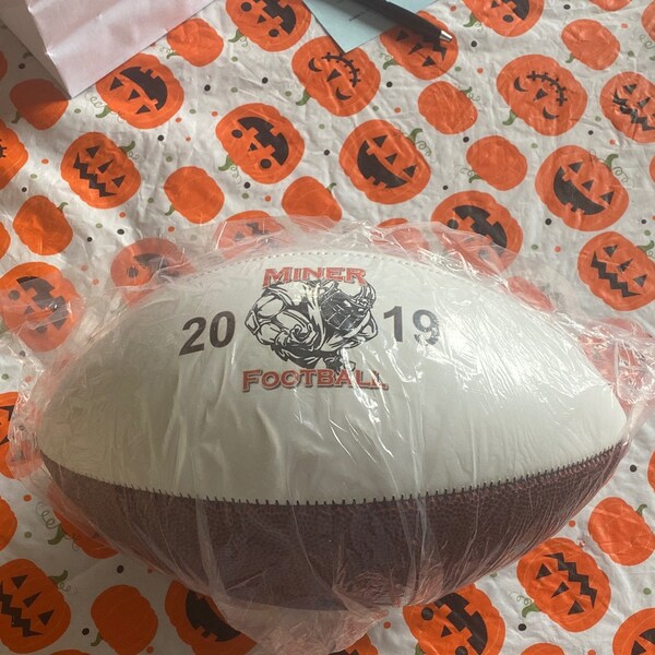 Personalized Custom Mini Volleyballs for Coaches' Gifts, Senior Gifts ...