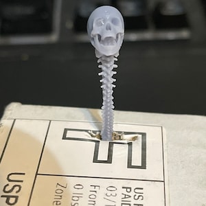Human Spine Replica, 1:24 Scale Bone Art Supply for Dioramas, Horror ...