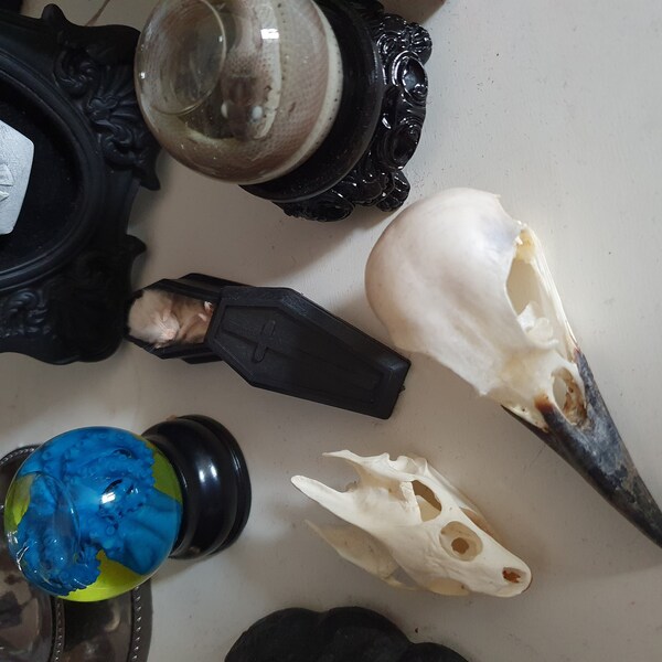 XXS Little Baby Coffin Mouse Adorabe Cute Mouse in a Tiny Open Casket ...