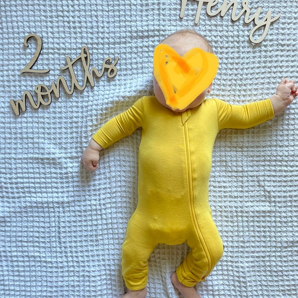 Monthly Milestone Prop | Photo Prop | Wood Photo Prop | Baby Milestone ...