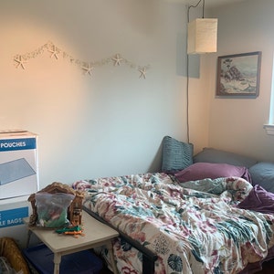 Frog Windsock - Etsy