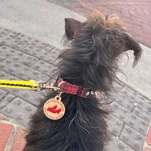 Binx is My Boo SVG - Etsy