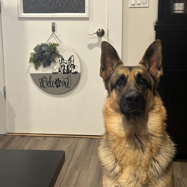 Tabby Cat Welcome Sign, Tabby Cat Door Sign, Cat Welcome Sign - Etsy