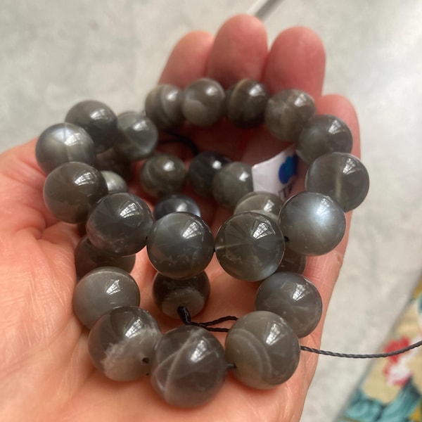 Dinosaur Coprolite Beads Dinosaur Dung Beads 4mm Round 6mm Round 8mm ...