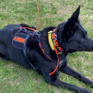 MD Dogs Bringsel, Alert Bringsel, 1/2 or 5/8 Wide Biothane Waterproof ...