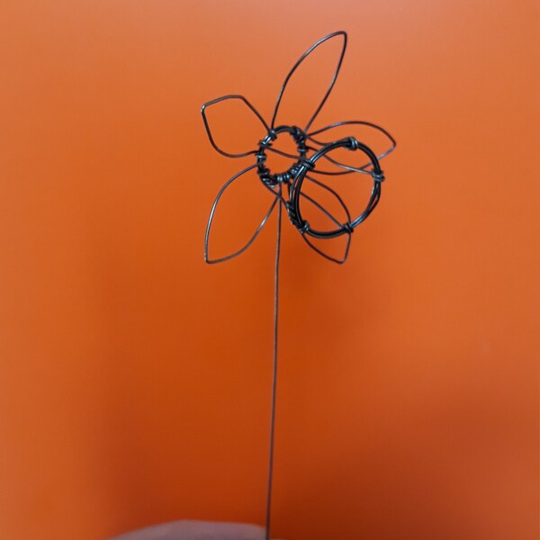 Wire Flower Meadow in a Wire Frame/flowers/seed Heads & Grasses/wire ...