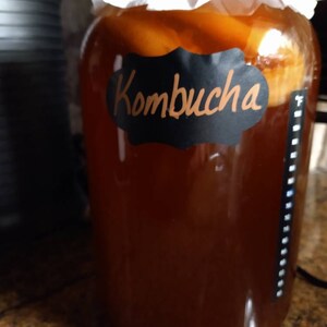Kombucha Complete Starter Kit Includes One Gallon Jar and Brewing Guide ...