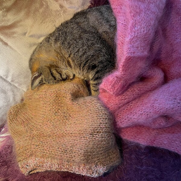 Alpine Blue Dye Recipe 8 Shade | Dharma Acid Dye| Digital Colour ...