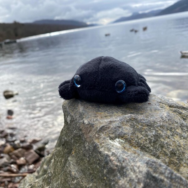 Tarantula Spider Cute Fluffy Spider Bean. Bean Bag Spider. Cute Spider ...