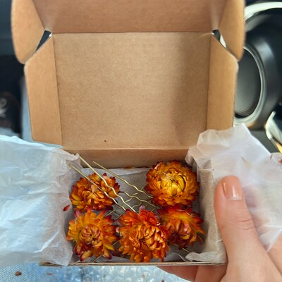 Boho Dried Plants Dried Flower Comb DIY Pants Set Make Comb Set Ivory ...