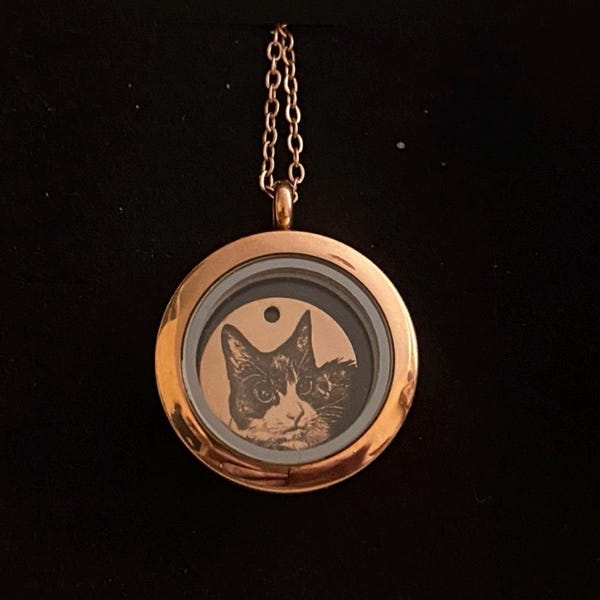 Custom Pet Fur Necklace • Pet Fur Locket Necklace • Dog Hair Memorial ...