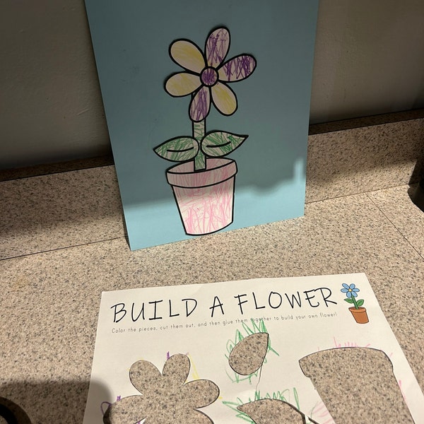 Pumpkin Life Cycle Flash Cards, Printable Sequence Activity ...