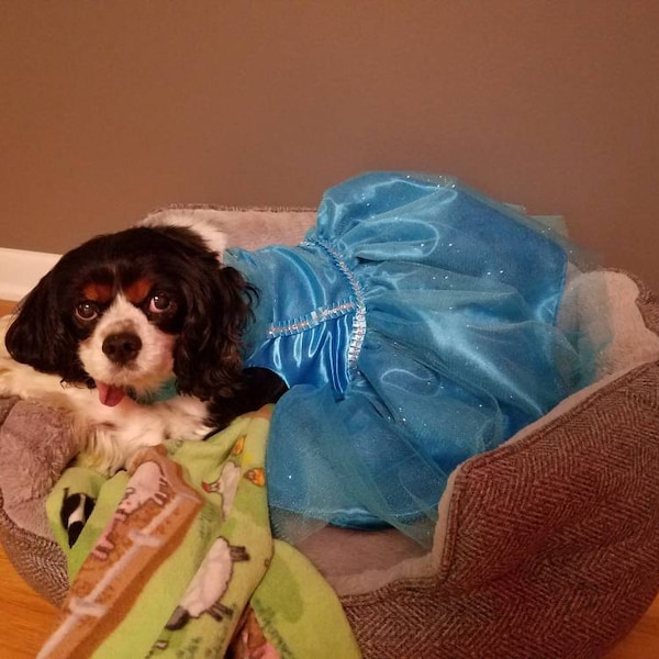 Cinderella Dog Dress 2015 - Etsy