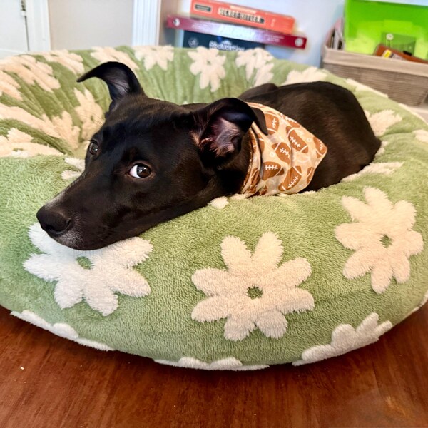 Blitz Football Dog Bandana - Etsy