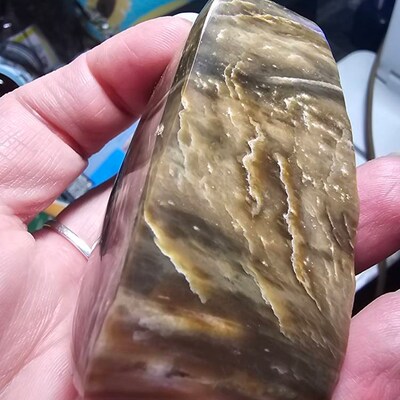 250-400 Million Year Old Honeycomb Coral Fossil With Black Flint and ...