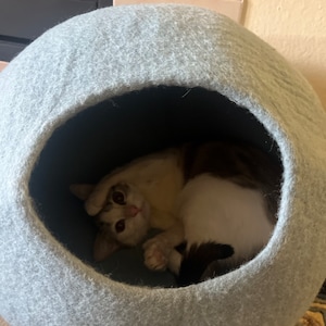 Needle Felted Cute Boba Tea With Details for Child's Pretend Play and ...