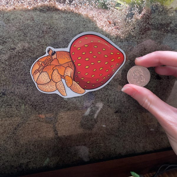 Simon Petrikov - Adventure Time Sticker Pack - 12 Pc - Etsy