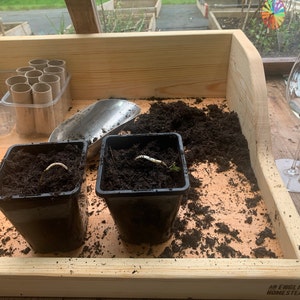 Large Wooden Potting Tray - Etsy UK