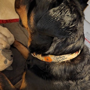 Fable Floral Purple Dog Collar Martingale Dog Collar Clip - Etsy