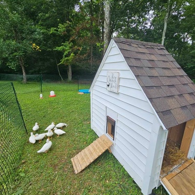Treehouse Sign, the Treehouse Sign, Fort Signs, Camping Signs, Tree ...