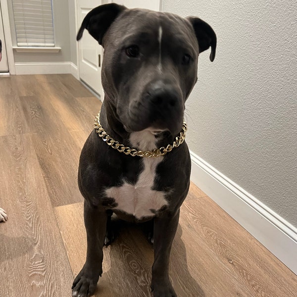 Texturized Cuban Link Dog Chain, Custom Dog Chain, Handmade Dog Collar ...