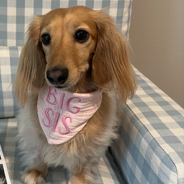 Hoco Blue Custom Embroidered Bouquet Wrap Sash Bow Prom Bouquet Sash ...