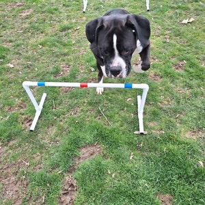 Dog Agility Equipment Weave Pole Guide Wires for 12 Weave Poles 10 ...