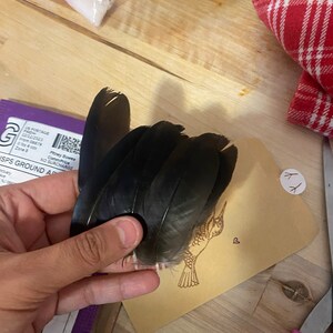 Set of 6 Mini Hooded Crow Wing Feathers Small Feathers, Black Feathers ...