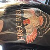 Free Bird Shirt, Comfort Colors Band Tshirt, Old School Band T-shirt ...