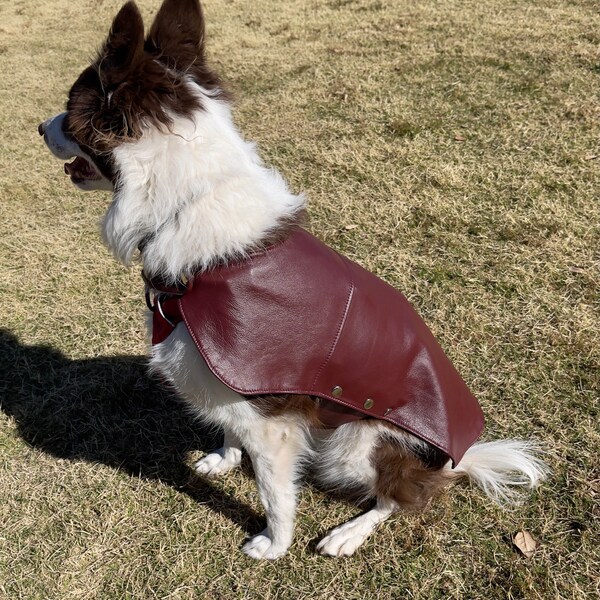 Stargazer Lily, Leather Lily, Black Lily, Leather Flowers, Purple and ...
