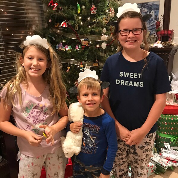 Sheep Lamb Ears Headband Birthday Party Favors Supplies Costume Photo ...