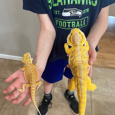 Citrus Very Detailed Stuffed Bearded Dragon Softy, Low Maintainance ...