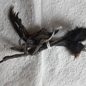 One Pair 2 Crow Feet Foot Talon Claws Taxidermy Fetish Curio Bones Art ...