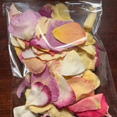 One Cup Petal Sample...choose YOUR Color FREE USA Shipping Wedding ...