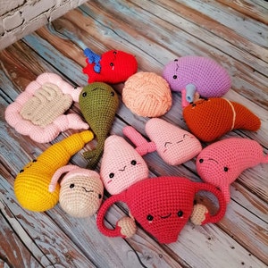 11 Crochet Organs Patterns EBOOK PDF Amigurumi Heart Liver | Etsy Australia
