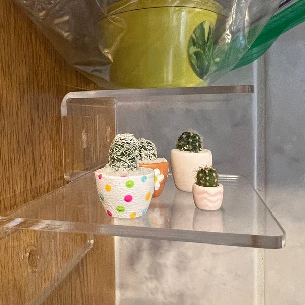 LITTLE PRICKS Miniature Cactus (light Brown) - DIY Cactus Kits, Hand ...