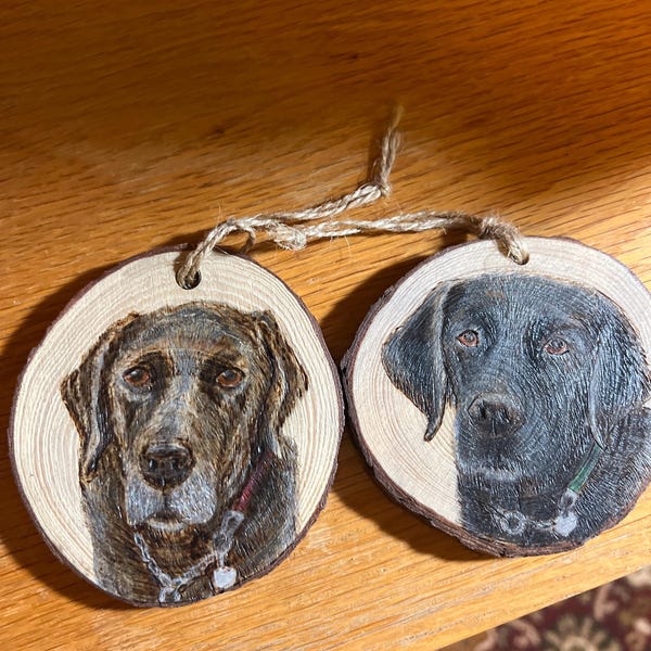 Hummingbird Flower Hand Painted Pyrography Wood Slice Art (6"x8.5") - Etsy