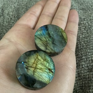 AAA Rated Organic Howlite Stone Pinchers Septum Tusk | Etsy