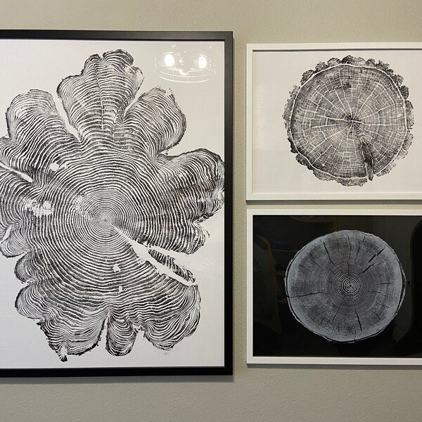 Western Red Cedar, Woodcut Print, Tree Ring Print, Natural Wood Slices ...